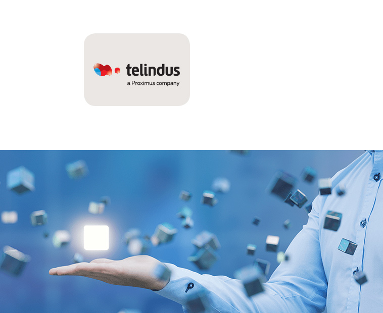 Telindus Logo